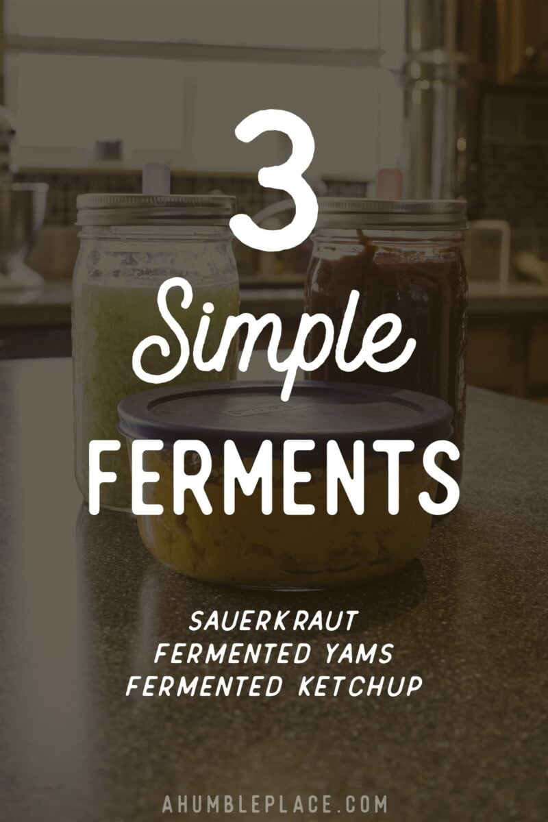 3 Simple Ferments · a humble place