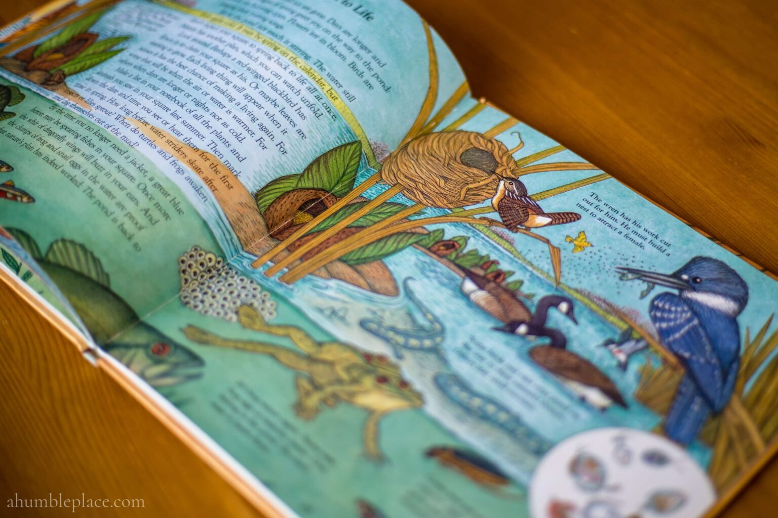 Charlotte Mason Kindergarten · a humble place