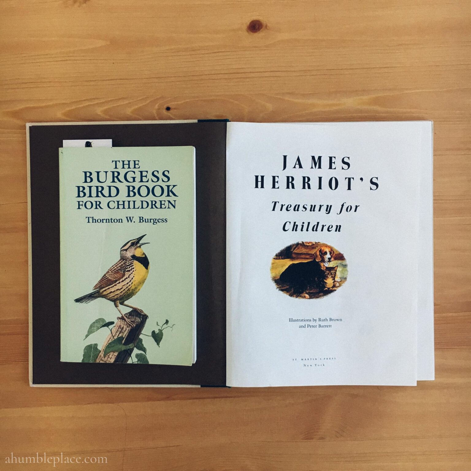 Charlotte Mason Homeschool First Grade Term 3 Plans (and Term 2 recap ...