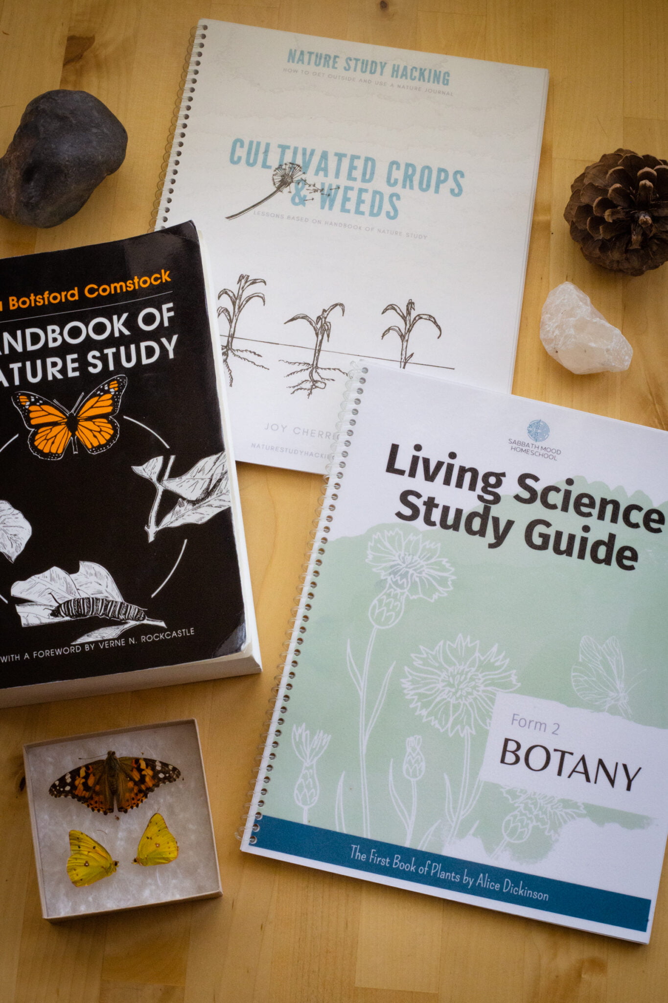 Free Picture Study Print Files · a humble place