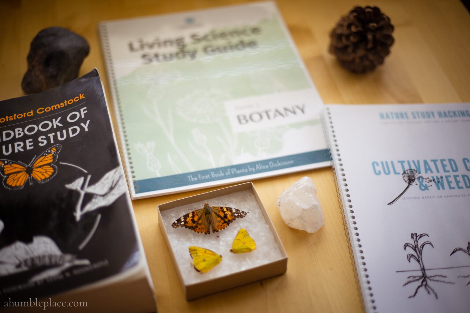 Charlotte Mason Nature Study Resources · a humble place