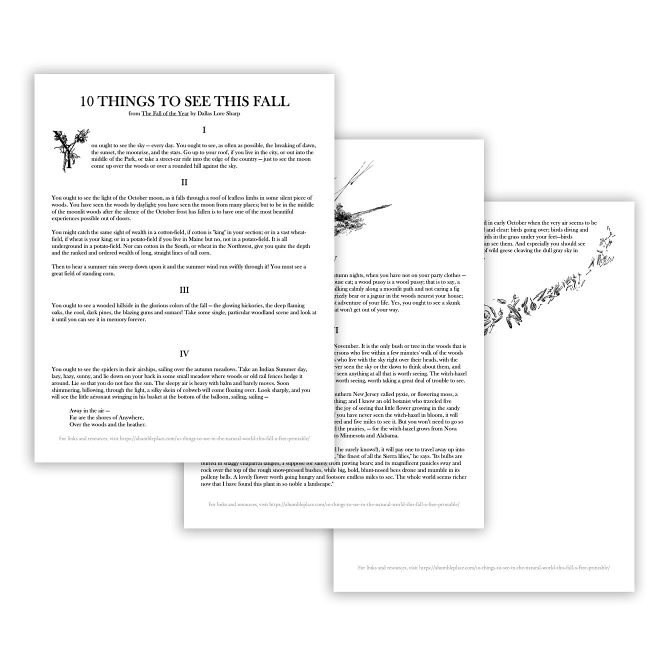 10 Things to See in the Fall in the Natural World (free printable!) · a ...
