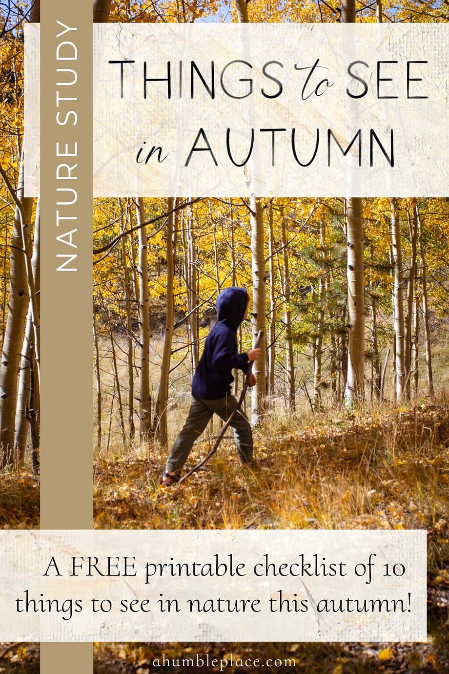 10 Things to See in the Fall in the Natural World (free printable!) · a ...