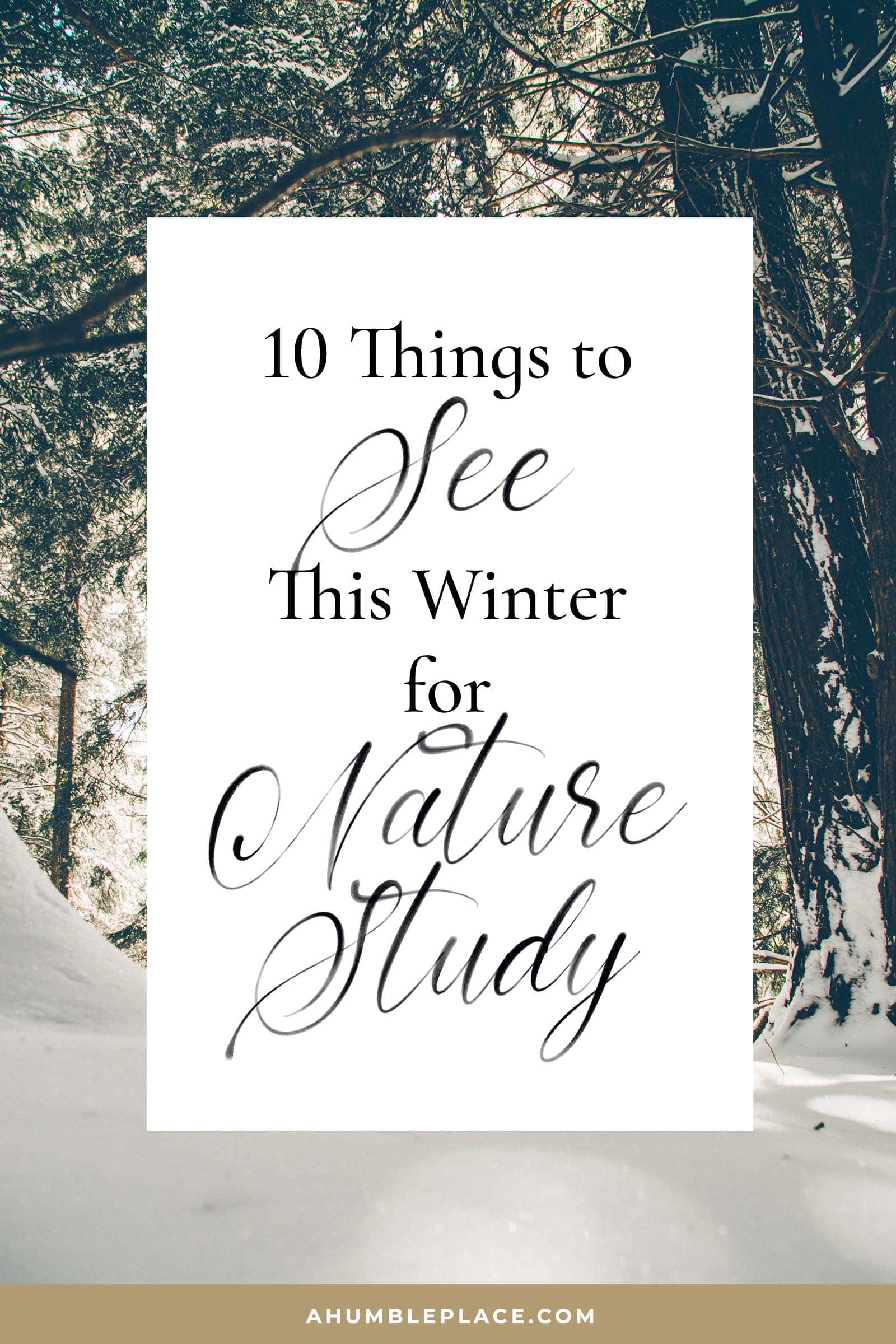 Things to See in Winter for Nature Study · a humble place