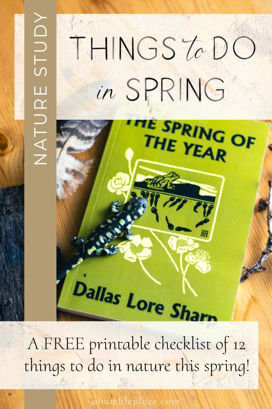 12 Things to Do for Homeschool Spring Nature Study · a humble place