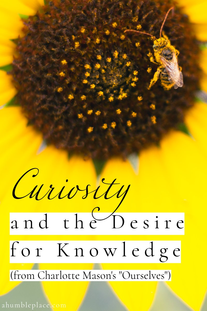 Charlotte Mason on Curiosity and the Desire for Knowledge · a humble place