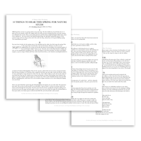 10 Things to Listen For this Spring for Homeschool Nature Study (+a ...