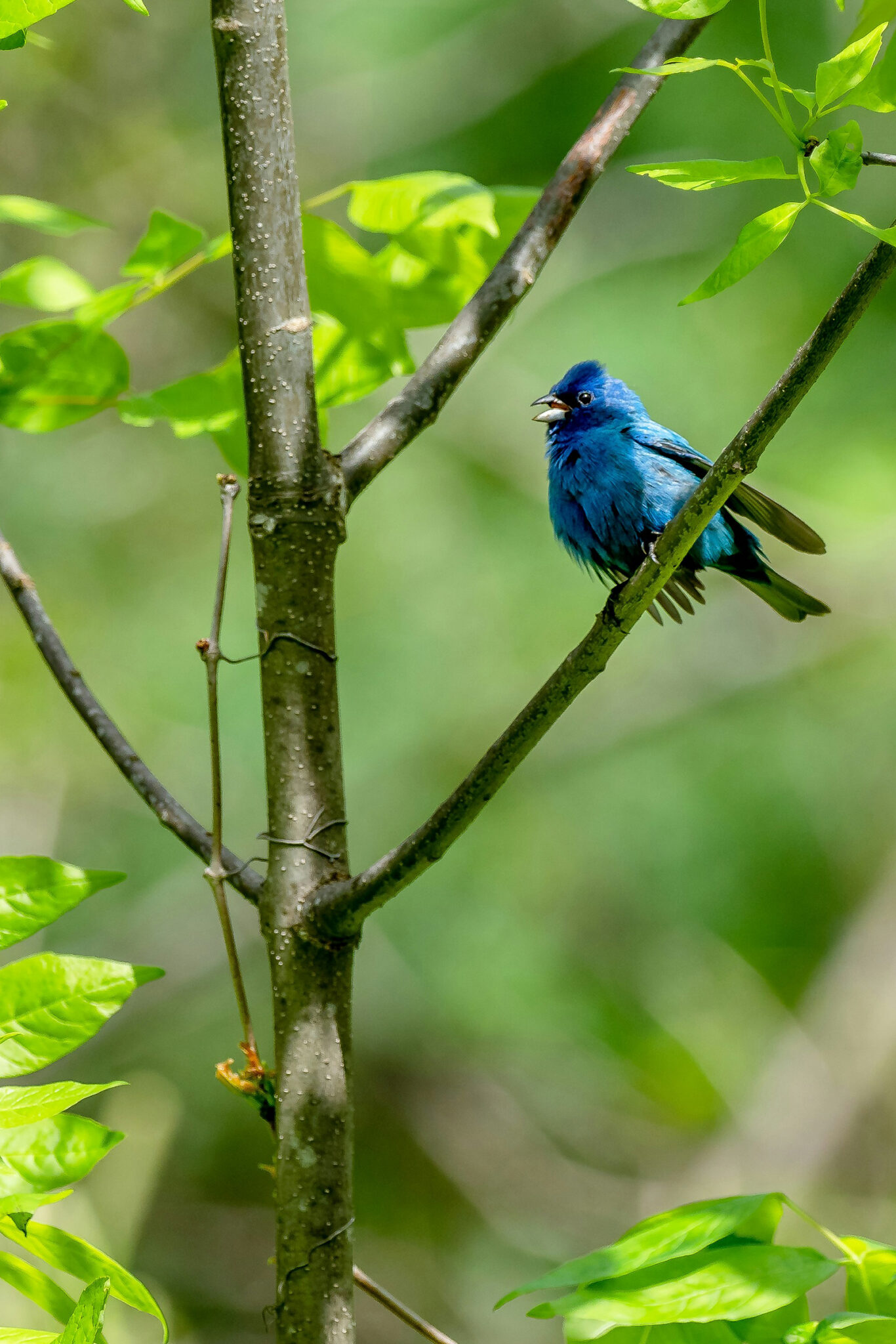 a humble place · Charlotte Mason resources for homeschooling families.