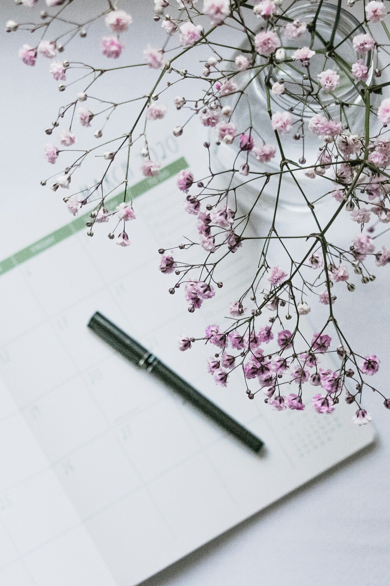 a humble place · Charlotte Mason resources for homeschooling families.