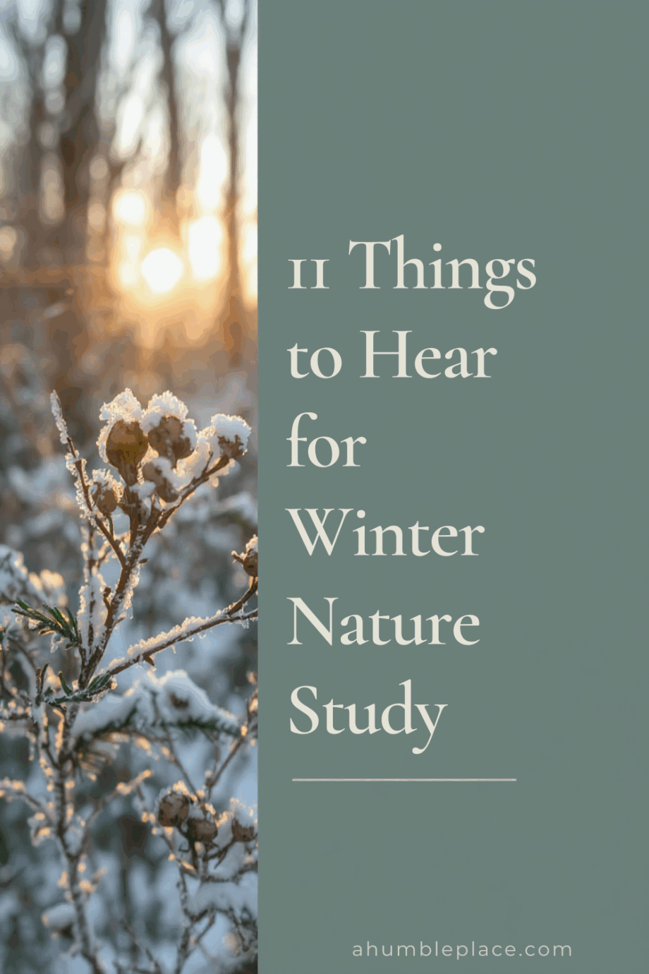 11 Winter Nature Study Ideas to Hear · a humble place